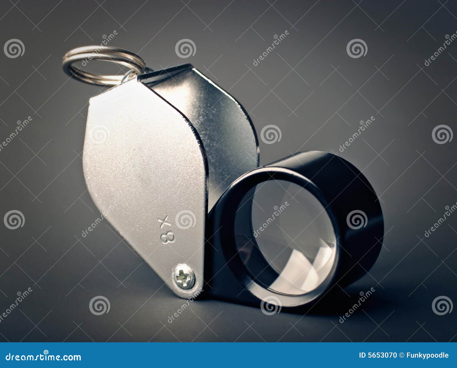 Loupe stock photo. Image of detail, finer, inspect, magnifying - 5653070