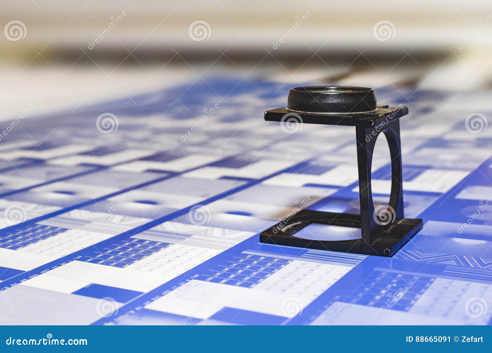 Color Matching Palette From Dark Blue Plums In Cast Iron Plate. Food ...