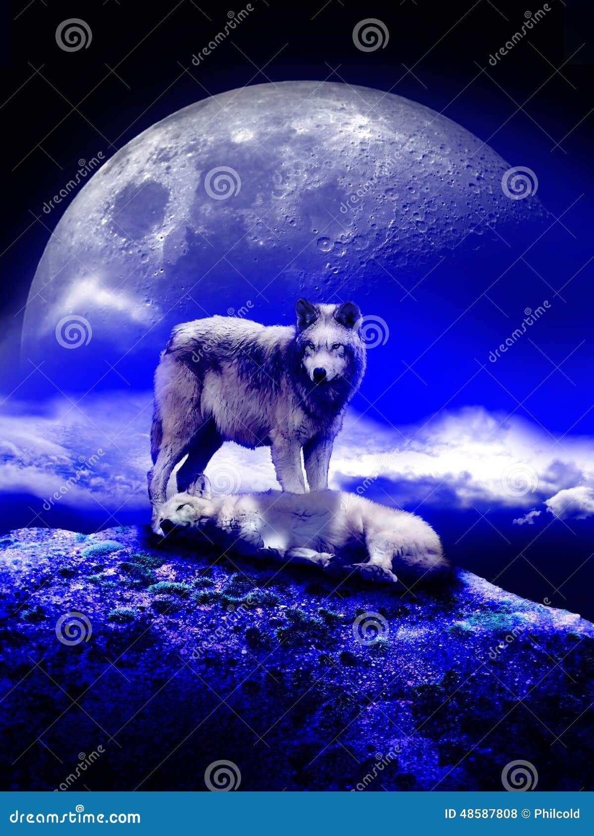 Loups sous la lune illustration stock. Illustration du lune - 48587808