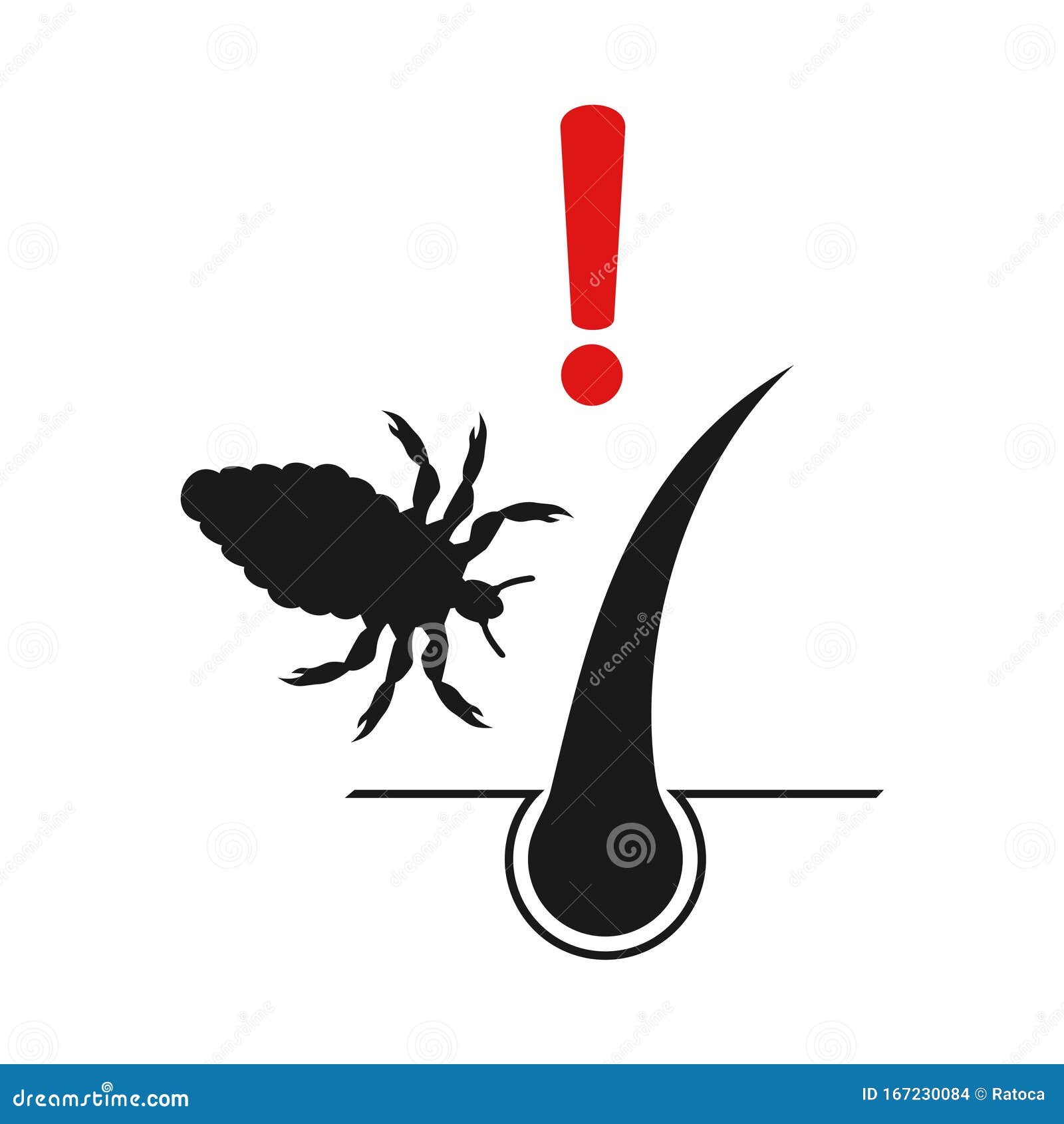 Louse insect draw stock vector. Illustration of black - 167230084