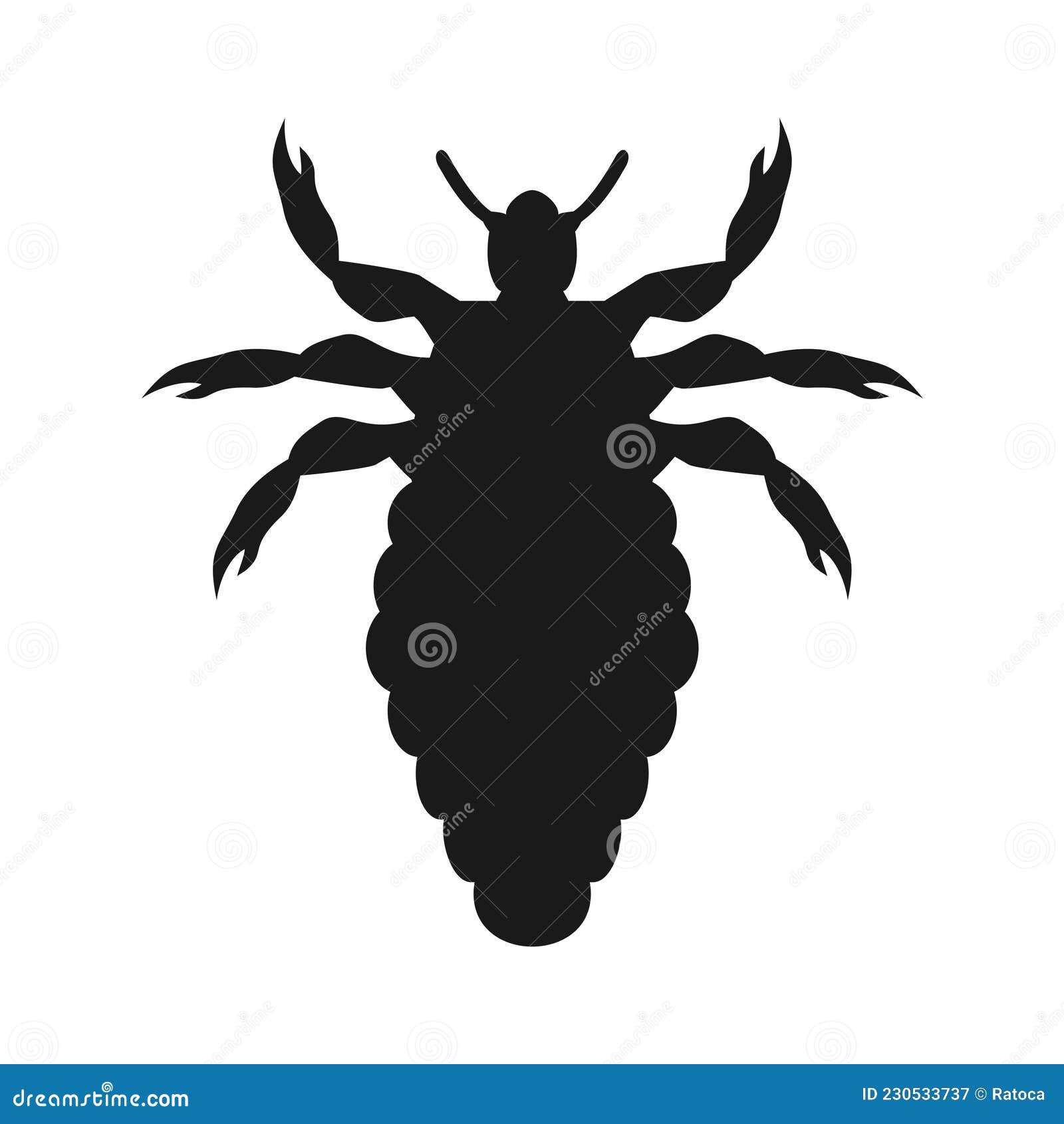Louse insect draw stock vector. Illustration of animal - 230533737