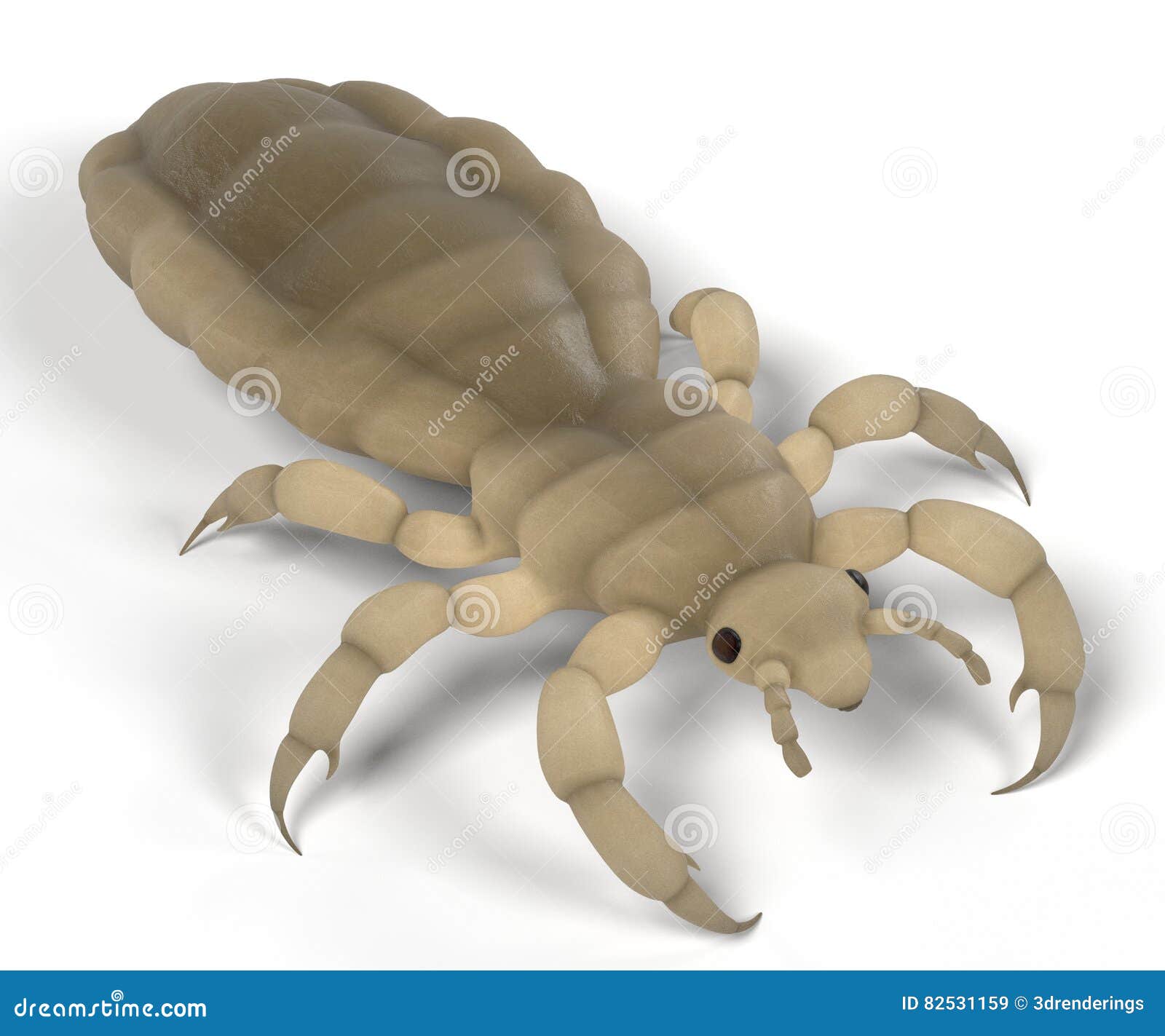 Louse stock illustration. Illustration of sucking, disease - 82531159