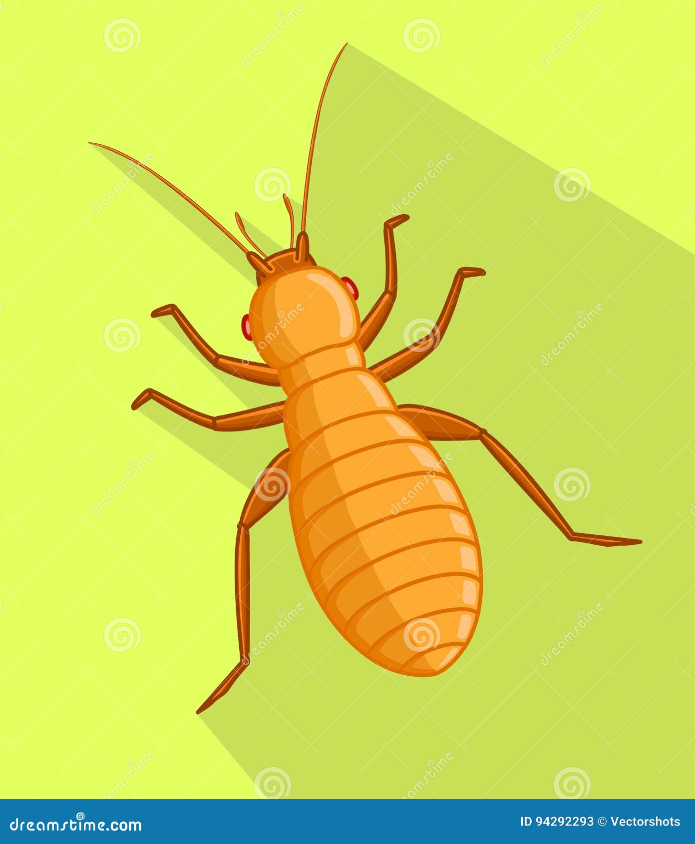 Vector Insect Set. Cute Bugs, Butterflies, Moths And Beetles. Hand ...