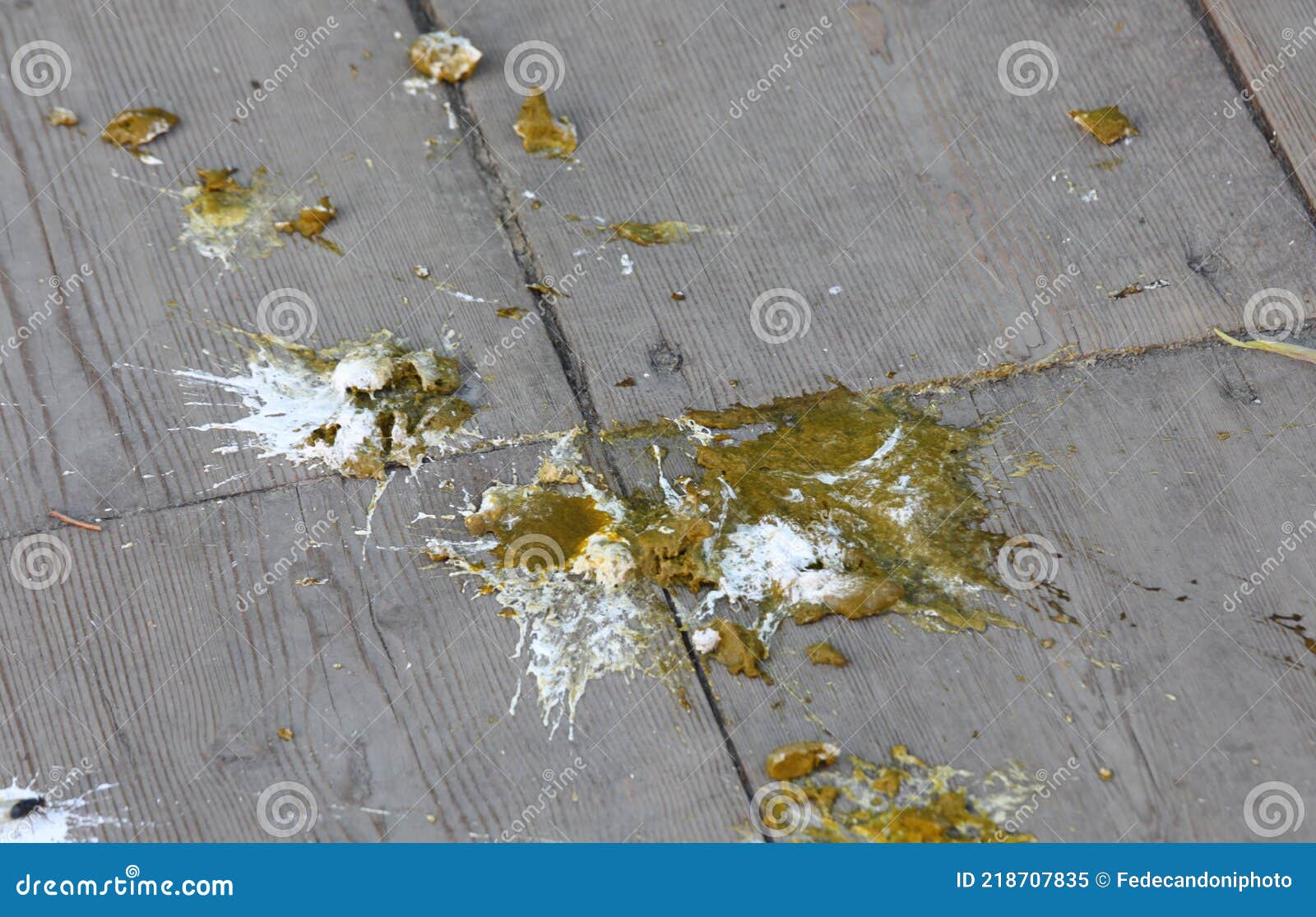 Bird Guano that Smeared the Terrace Floor Stock Image - Image of manure ...