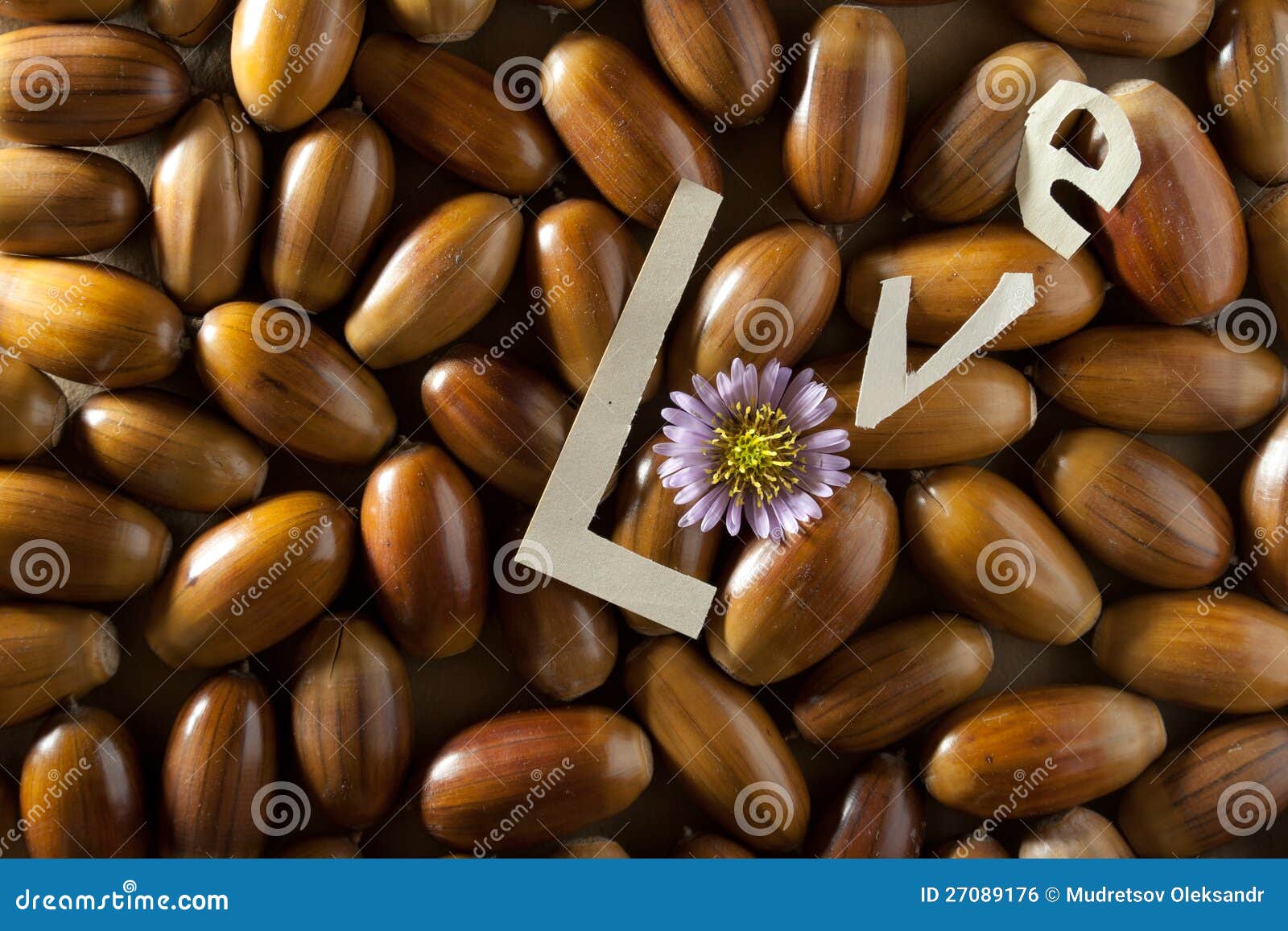 Love stock photo. Image of creative, love, sign, feelings - 27089176