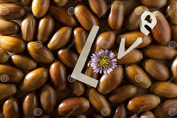 Love stock photo. Image of creative, love, sign, feelings - 27089176