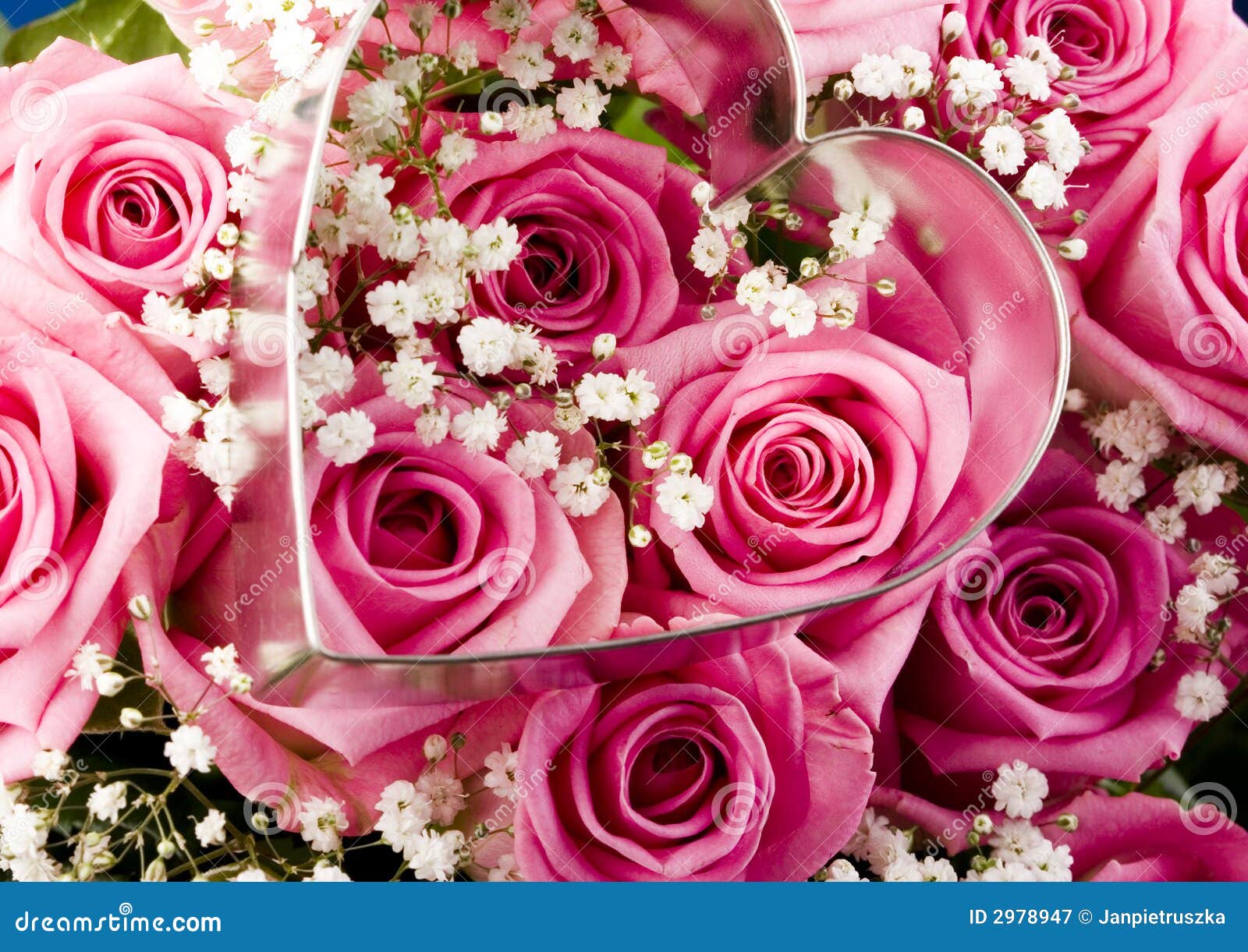 Love stock image. Image of flowers, bouquets, freshness - 2978947