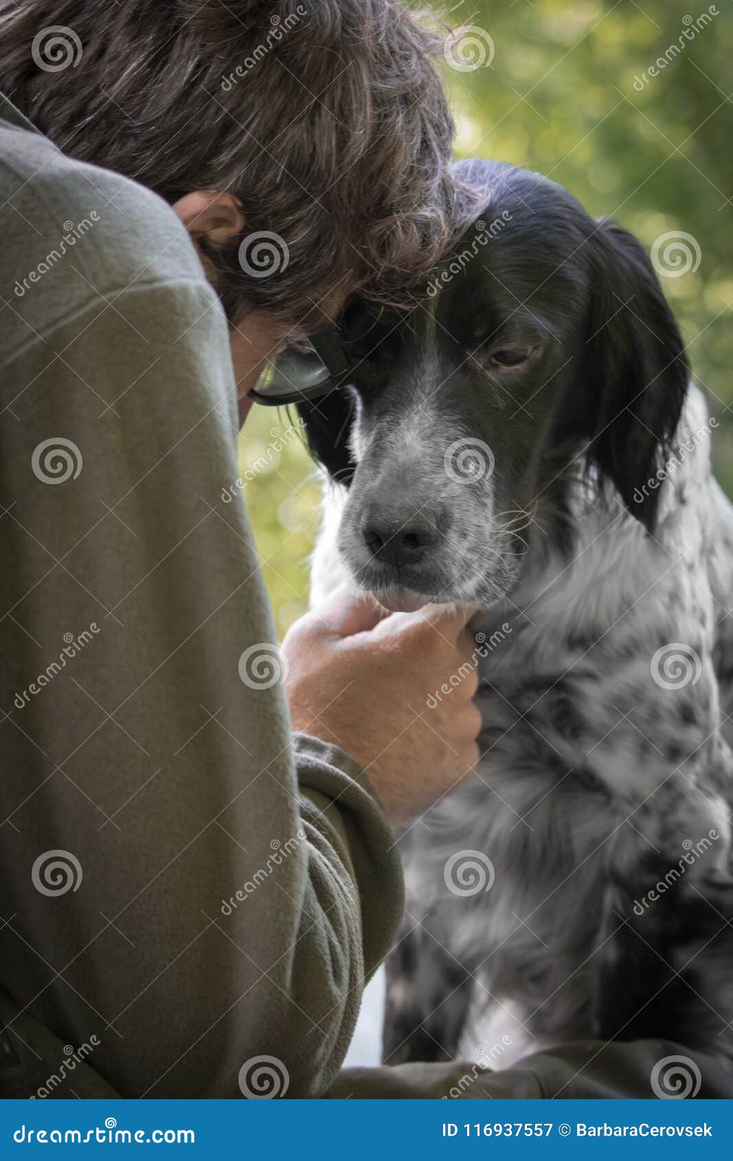 Love and Affection between Man and His Dog Stock Image - Image of ...