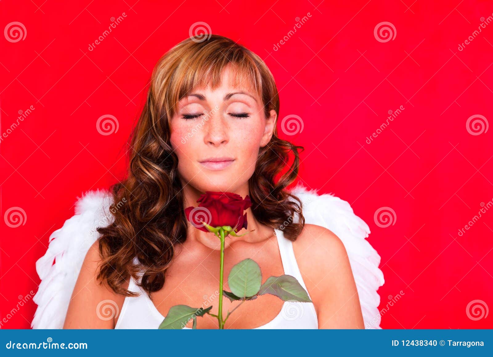 Love angel amor with rose stock photo. Image of couple - 12438340