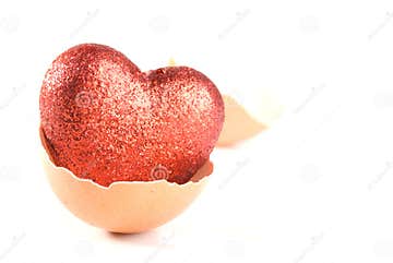 Love birth stock image. Image of origin, fragility, birth - 17953019