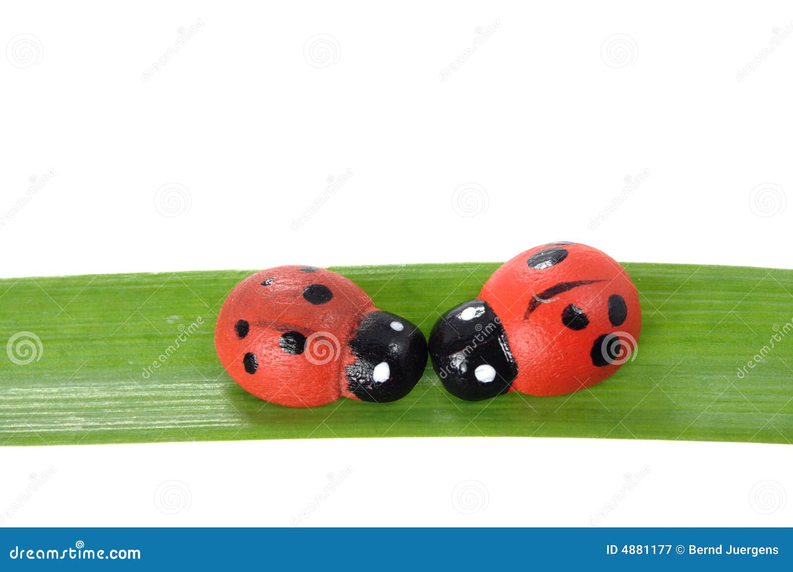Love bugs stock image. Image of ladybug, animal, leaf - 4881177