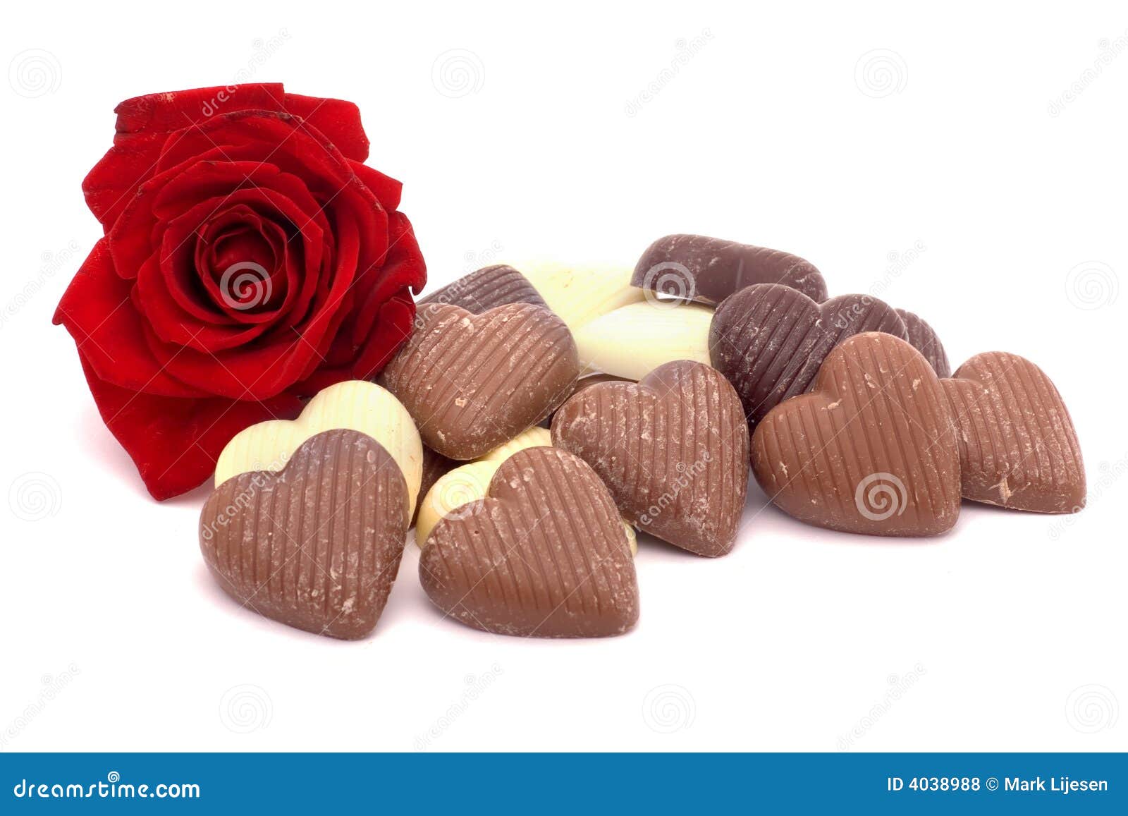 Love chocolates stock photo. Image of brown, flower, romance - 4038988