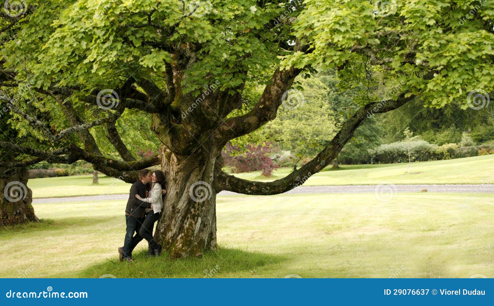 Love couple in park stock image. Image of outdoor, tree - 29076637