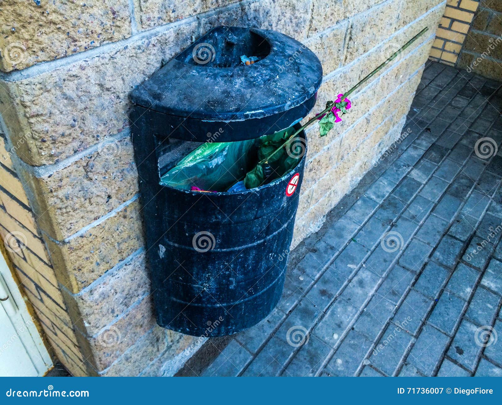 Love failure concept stock image. Image of rose, trash - 71736007