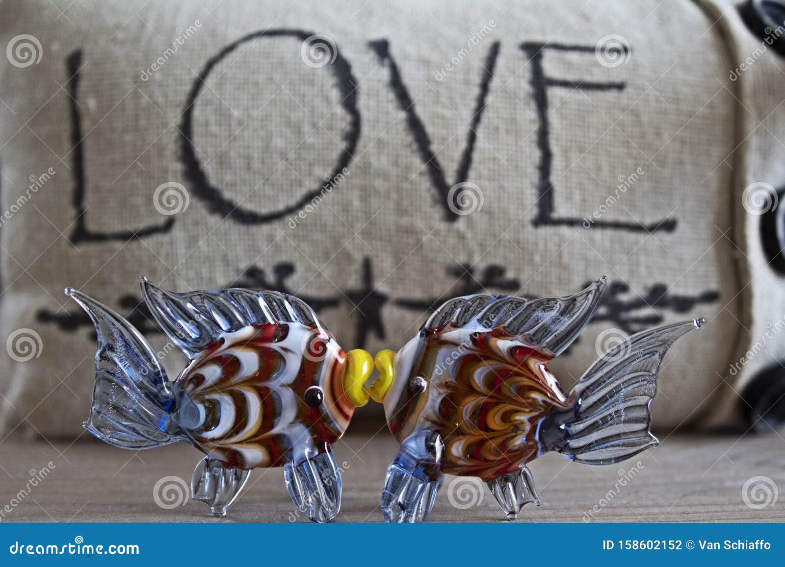 Two Fish Kissing In Aquarium Stock Image | CartoonDealer.com #42422191