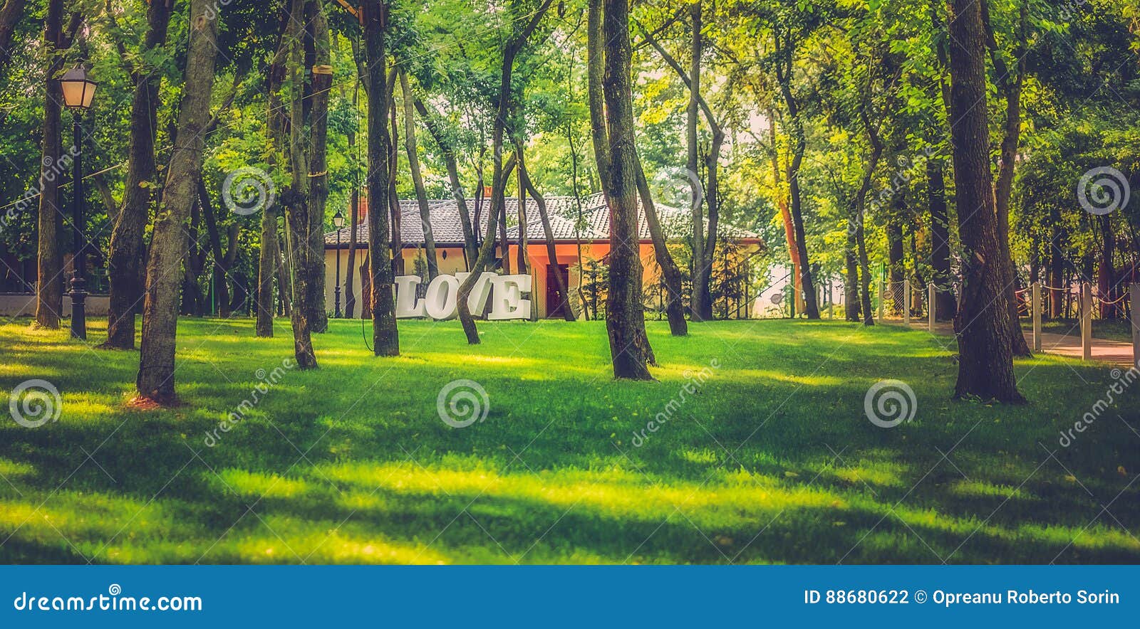 Love in the forest stock photo. Image of forest, scene - 88680622