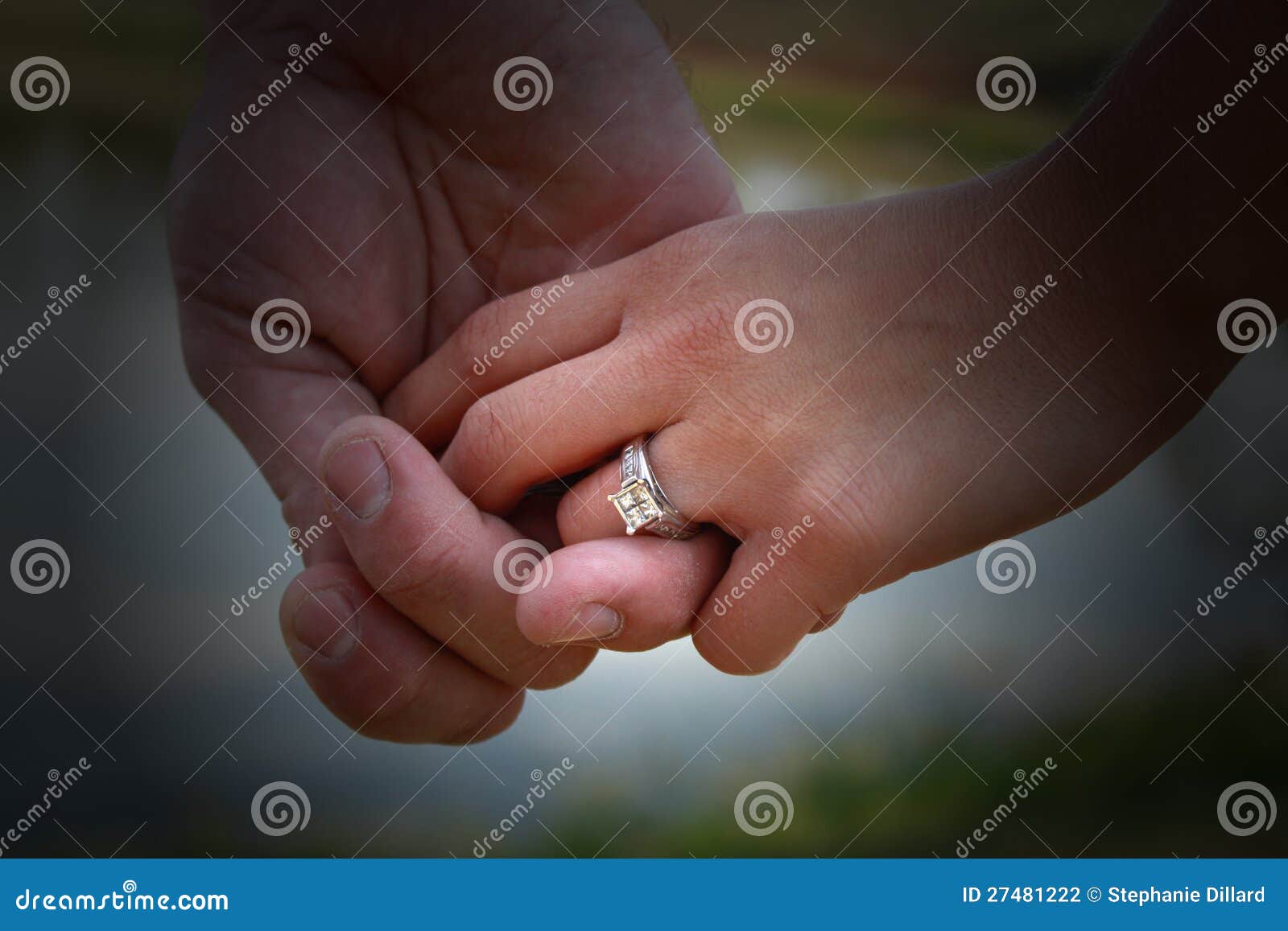 Love in hands stock photo. Image of hands, marriage, pond - 27481222