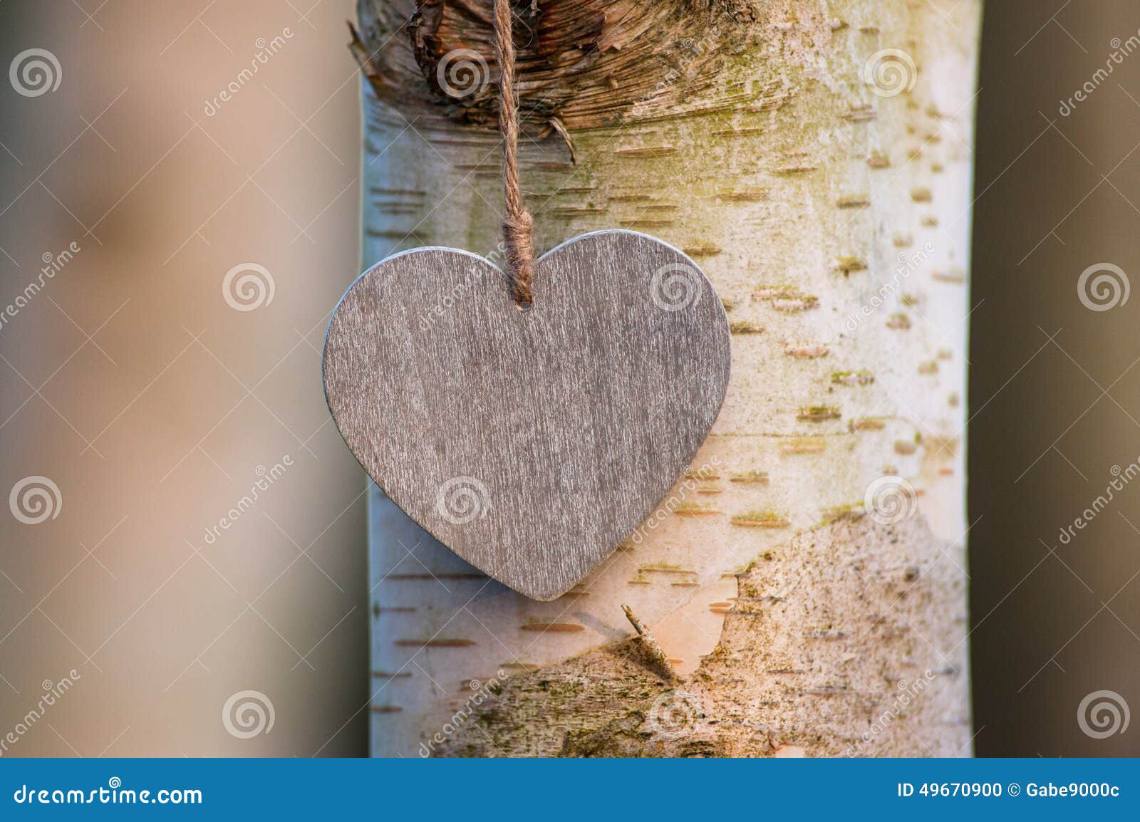 Love heart tree trunk stock photo. Image of trunk, green - 49670900