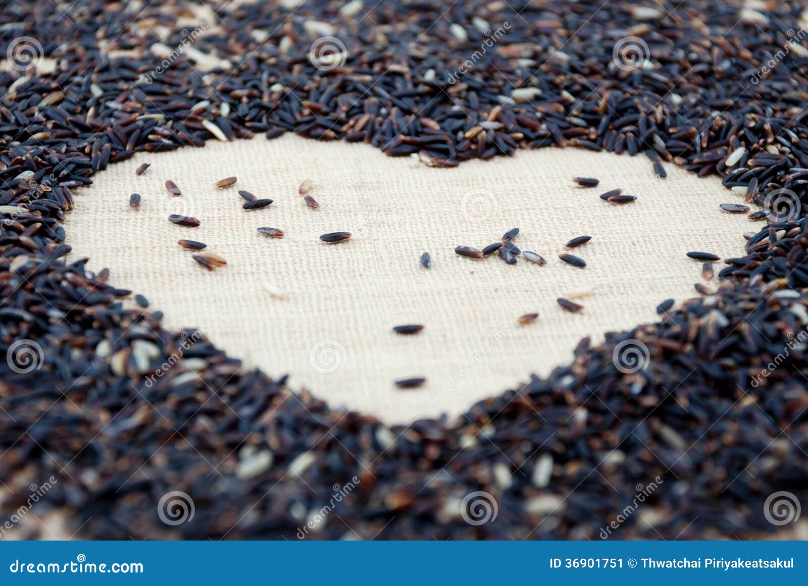 Love is (jasmine rice) stock image. Image of greetings - 36901751