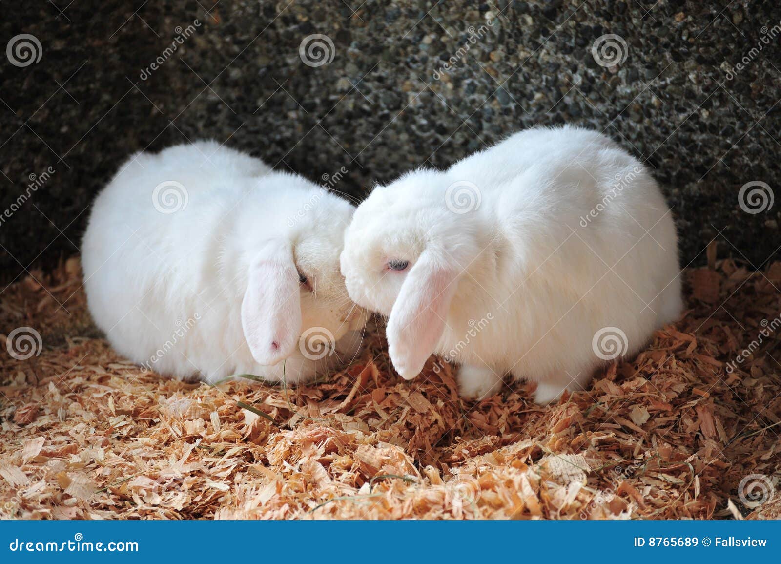 Love and kiss stock image. Image of friend, hear, face - 8765689