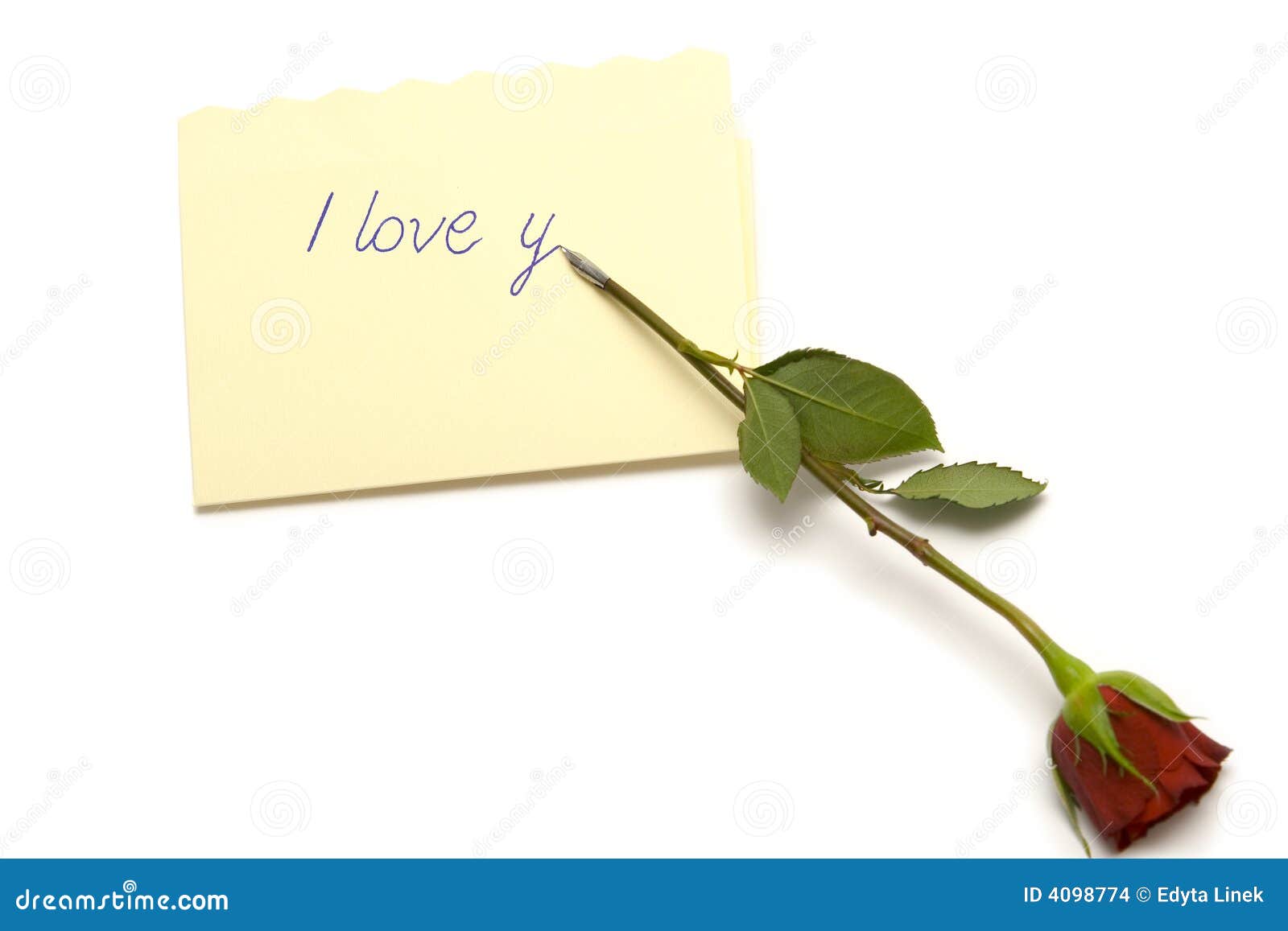 Love letter stock photo. Image of rose, paper, message - 4098774
