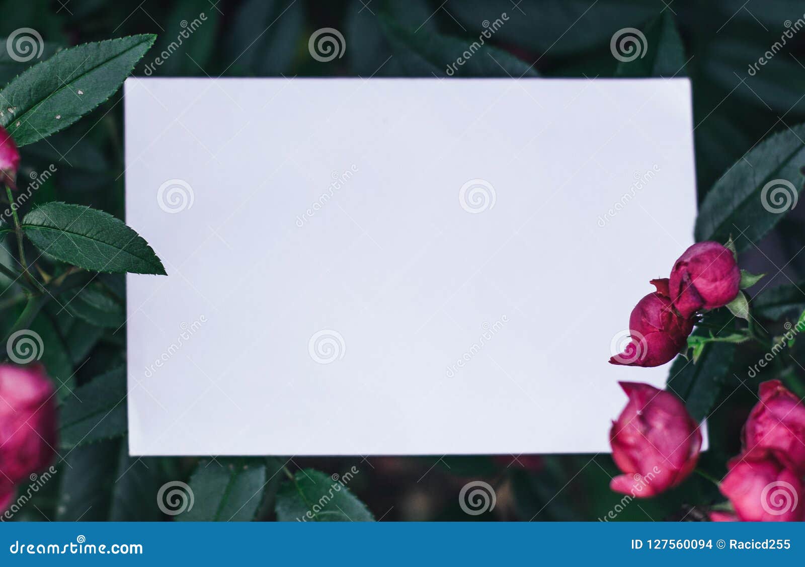 Love letter background stock photo. Image of invitation - 127560094