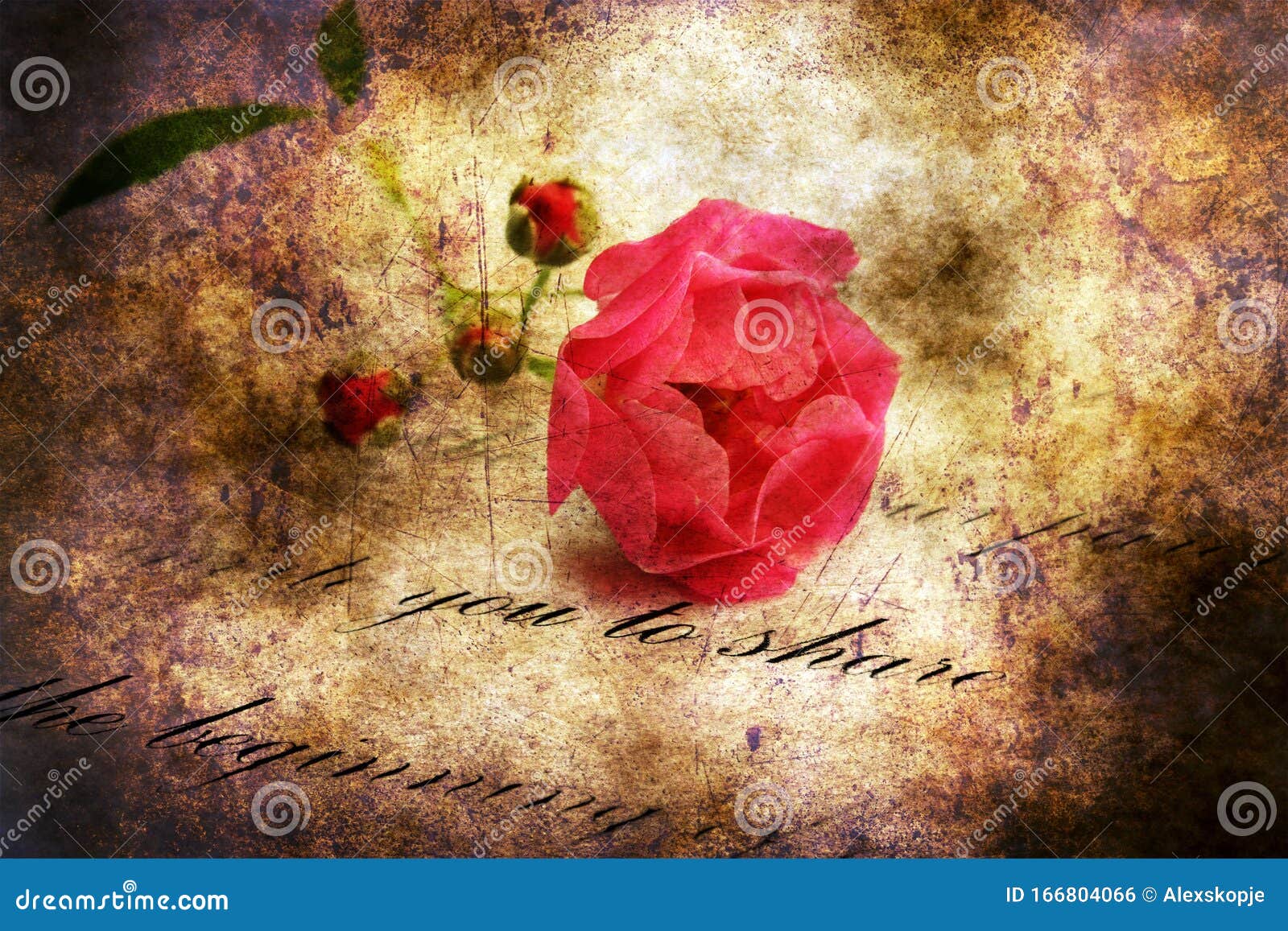 Love letter and rose stock photo. Image of exposure - 166804066