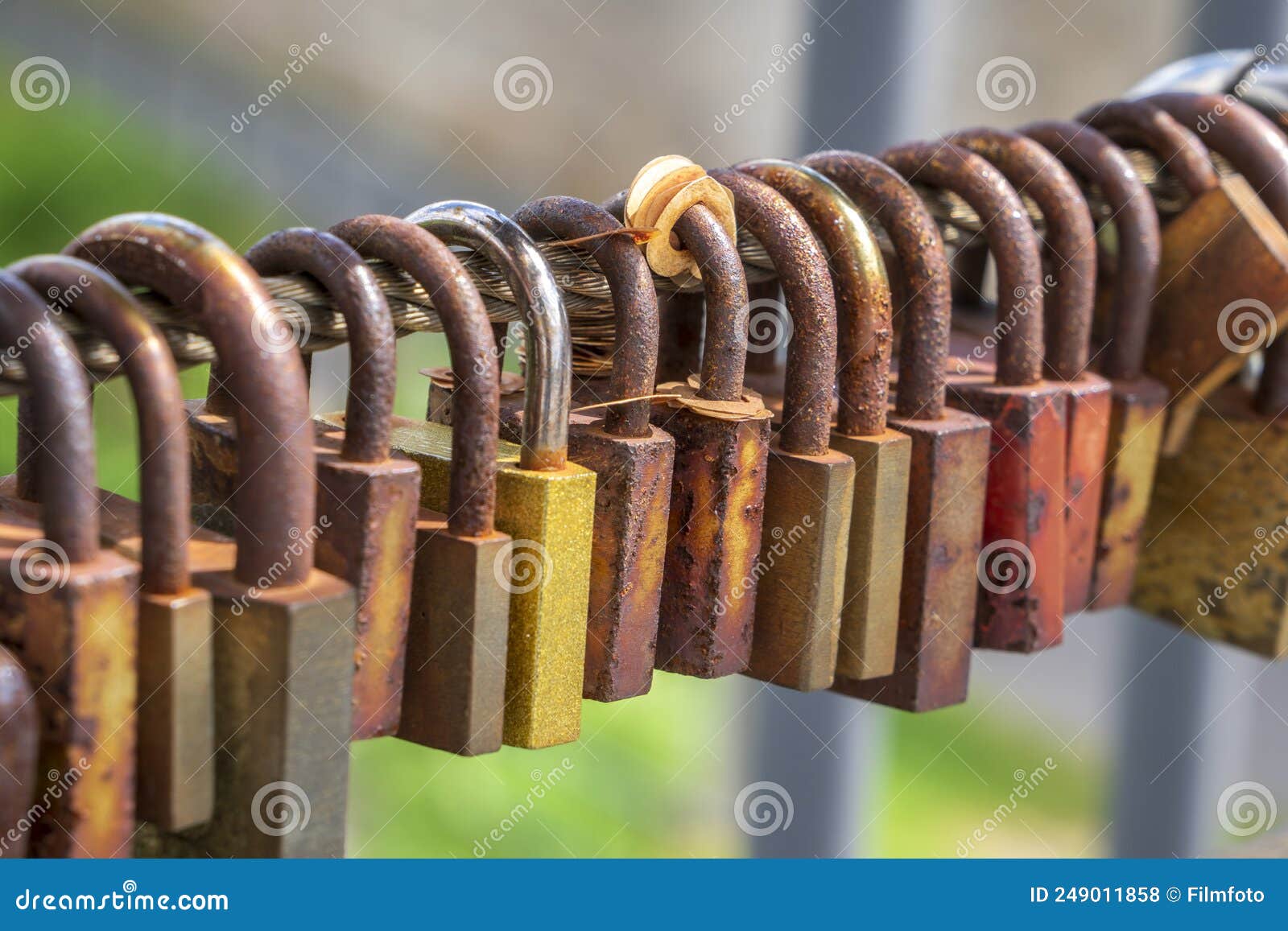Love Locks Hanging on a Bridge Stock Photo - Image of marriage ...