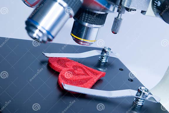 Love and the Microscope stock photo. Image of magnify - 13925722