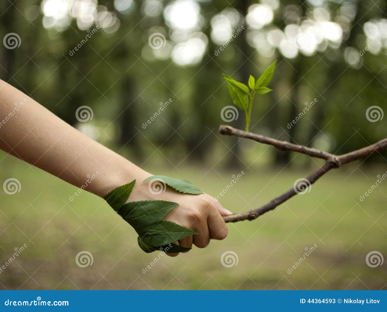 Love the Nature stock image. Image of growth, leaf, contract - 44364593