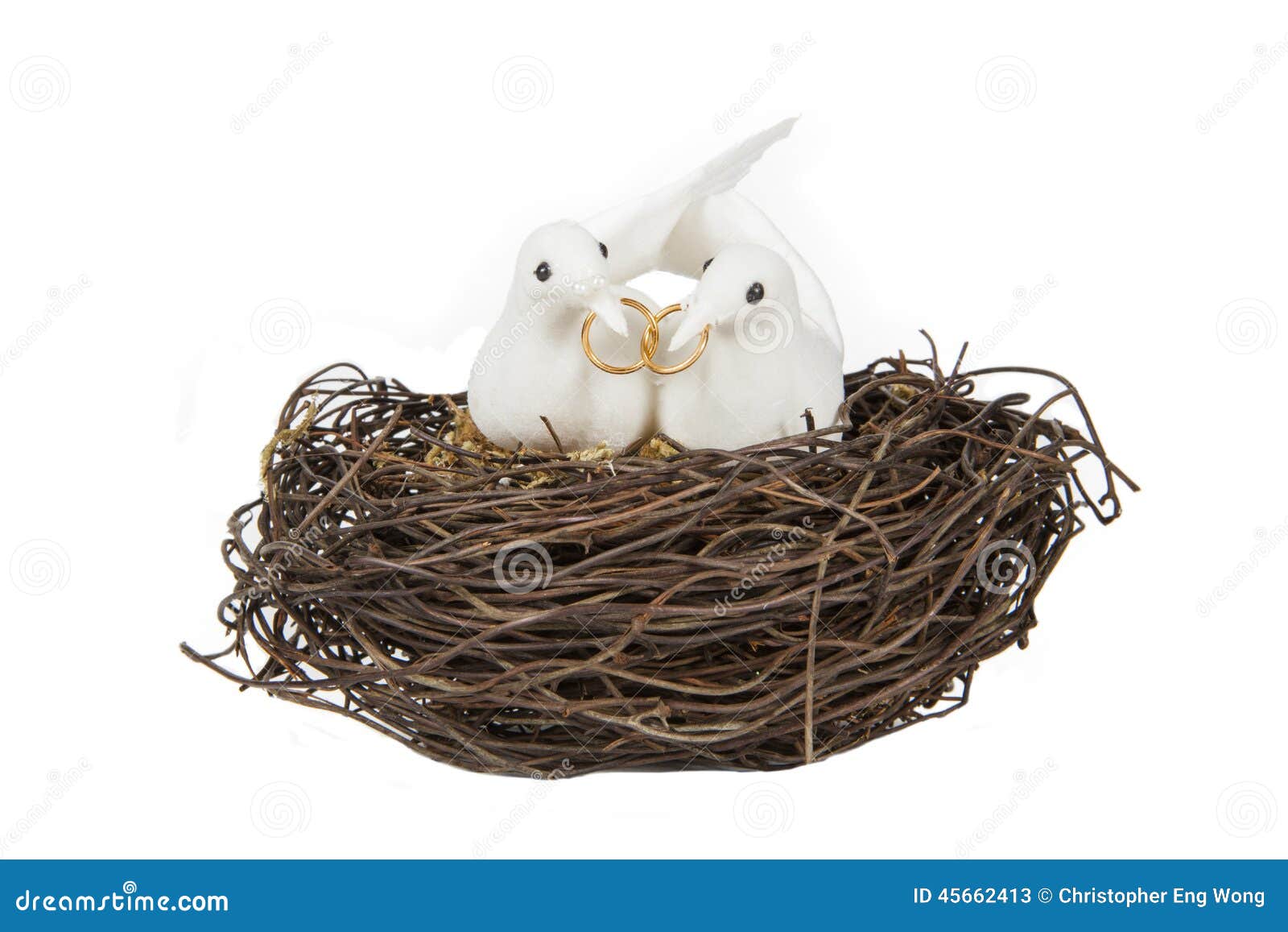Love Nest stock image. Image of jewelery, bird, ring - 45662413