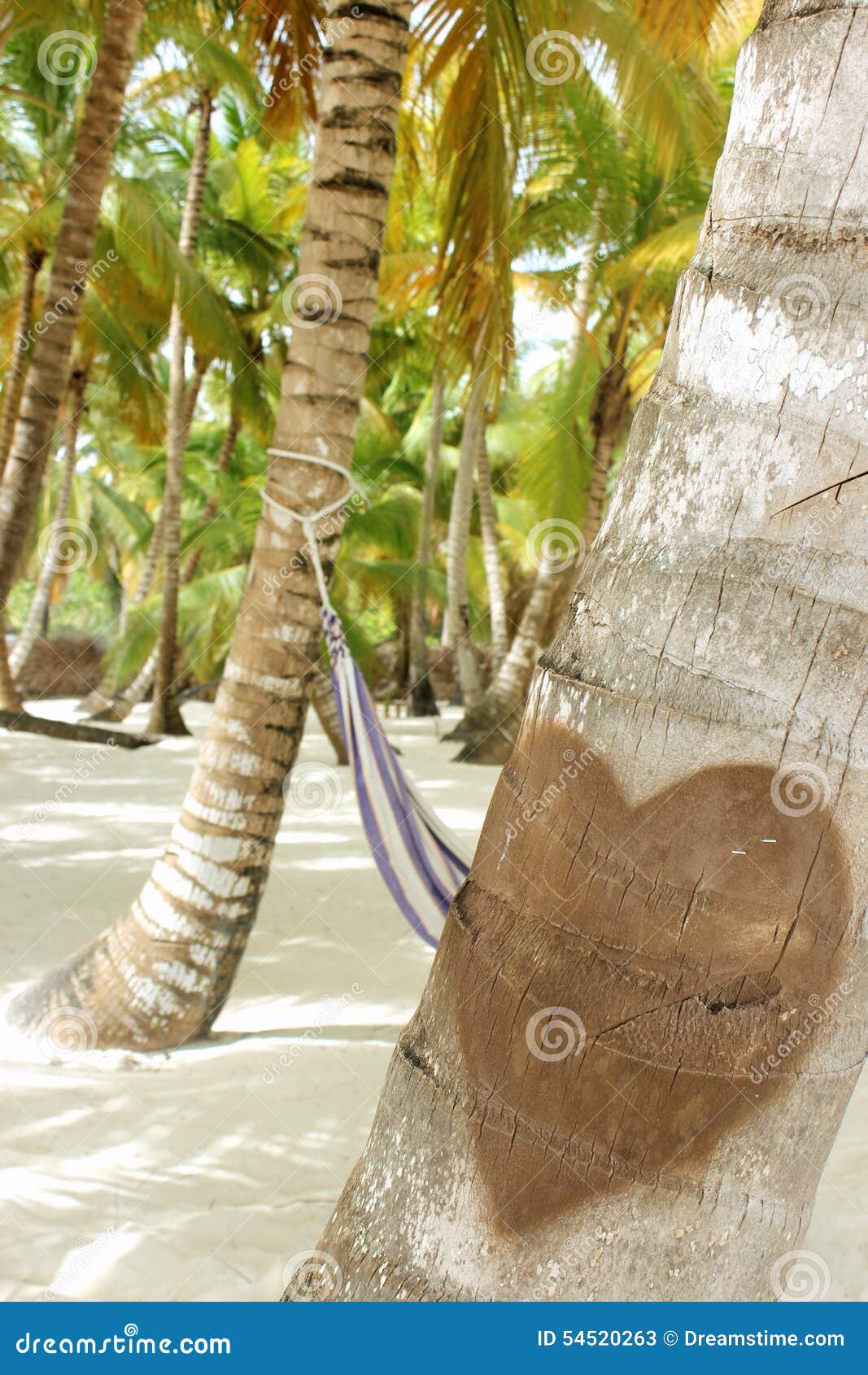 Love stock image. Image of palms, summer, heart, love - 54520263