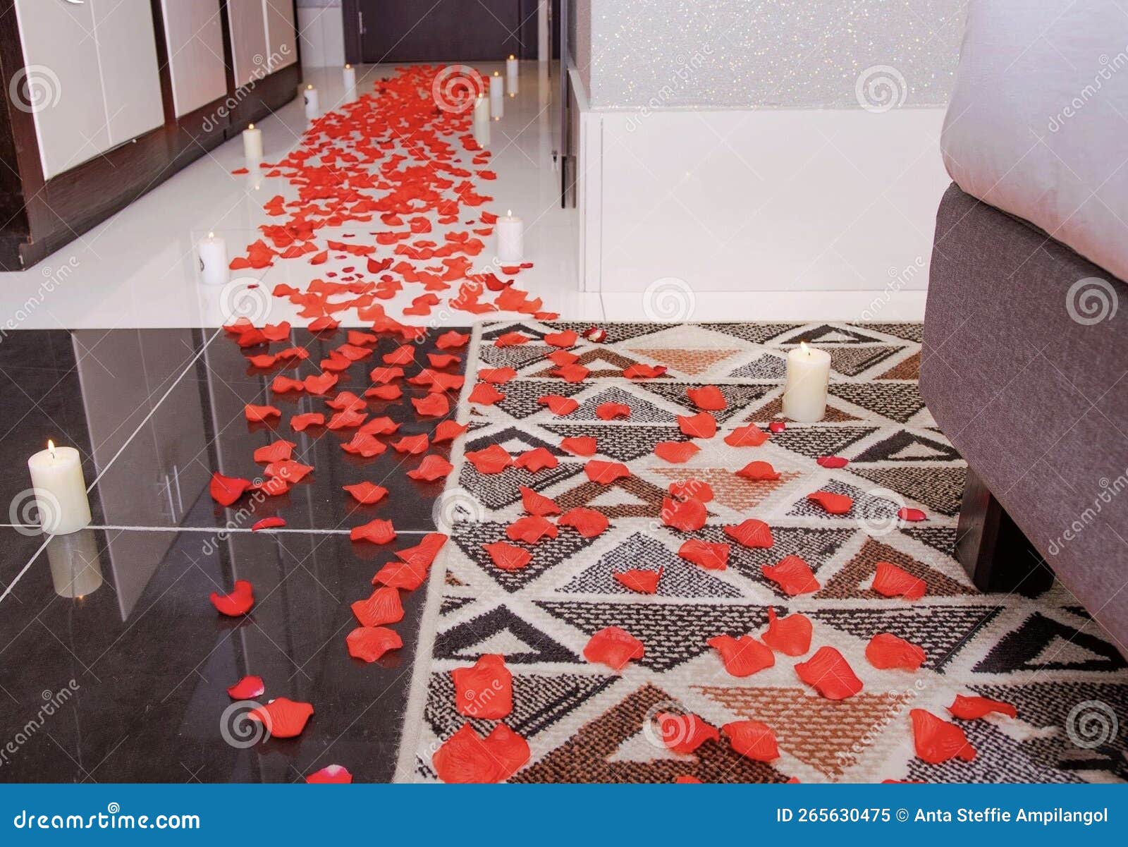 Love stock image. Image of petals, love, romantic, path - 265630475