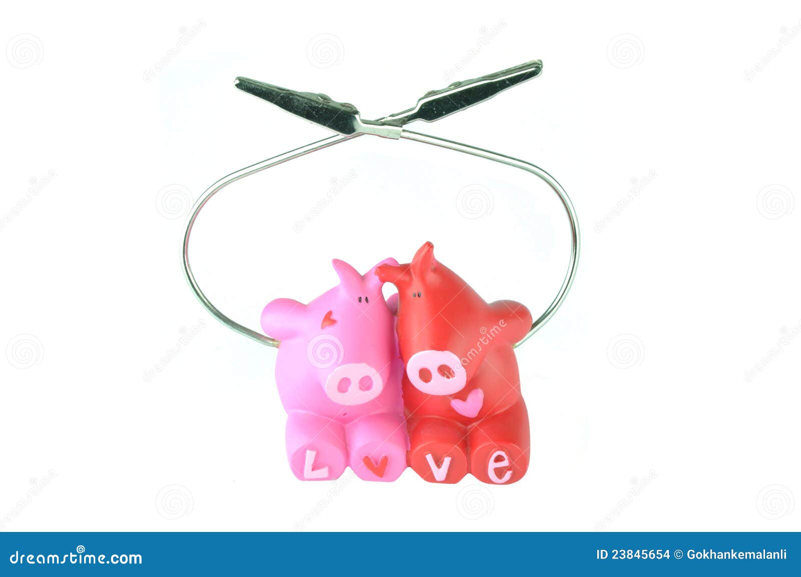 Love of pigs stock photo. Image of pink, hearth, like - 23845654