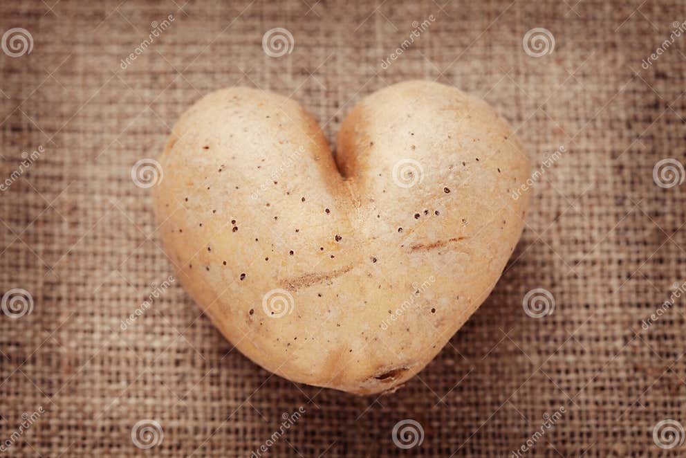 Love potato stock image. Image of shape, food, valentines - 23165853