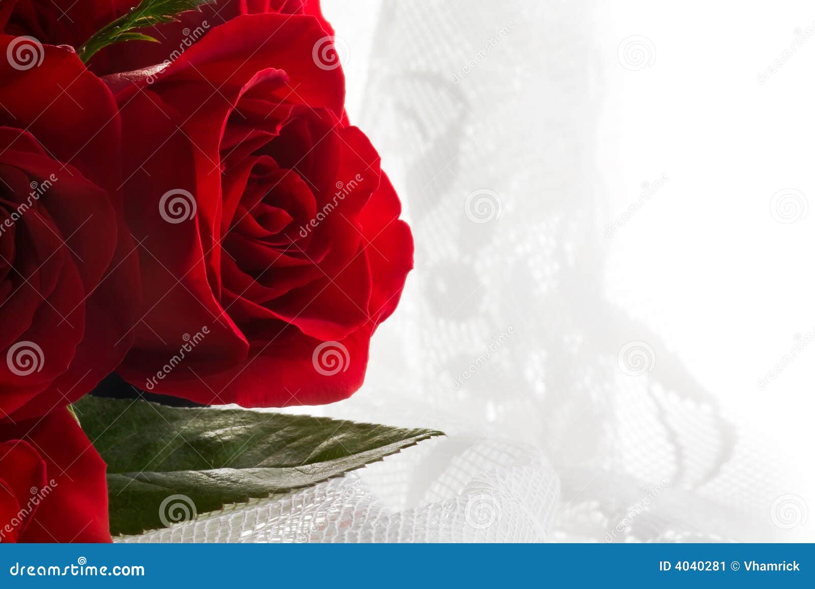 Love, red roses and lace stock image. Image of draperies - 4040281