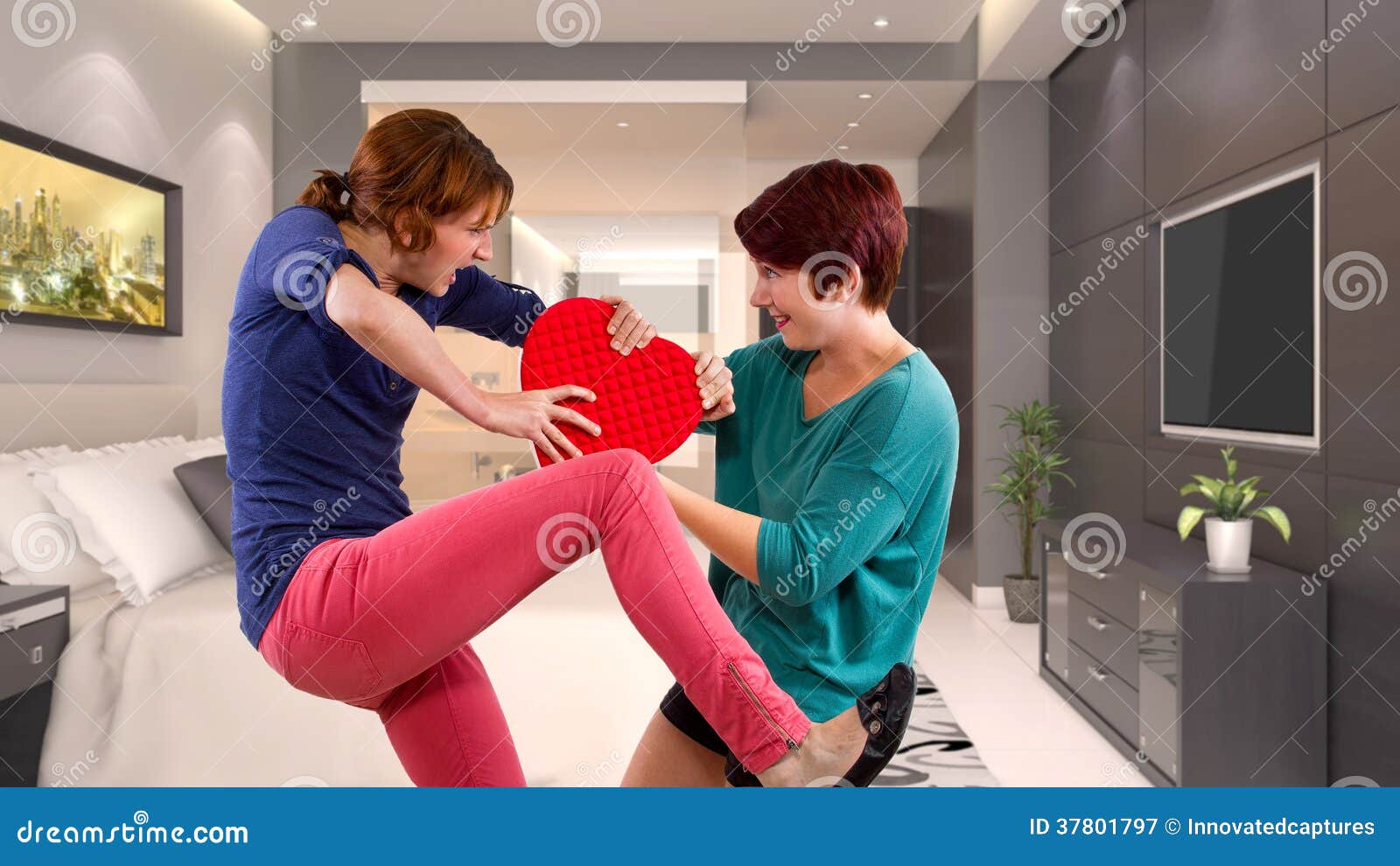 Love Rivals stock image. Image of dispute, emotions, feelings - 37801797