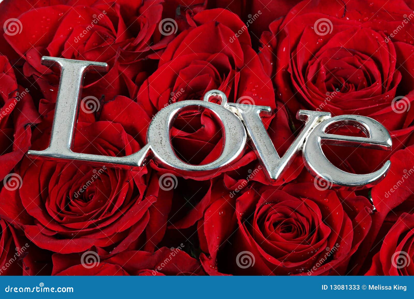 Love and roses stock image. Image of silver, classic - 13081333