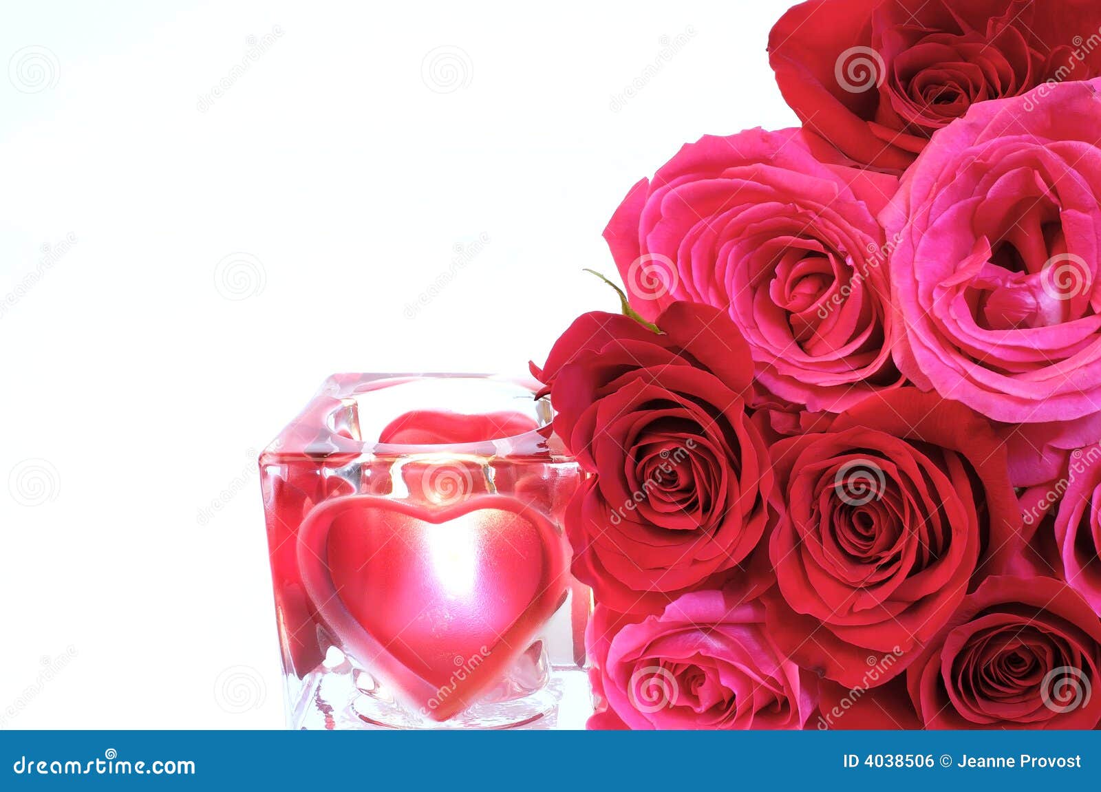 Love and Roses stock photo. Image of layers, garden, bloom - 4038506