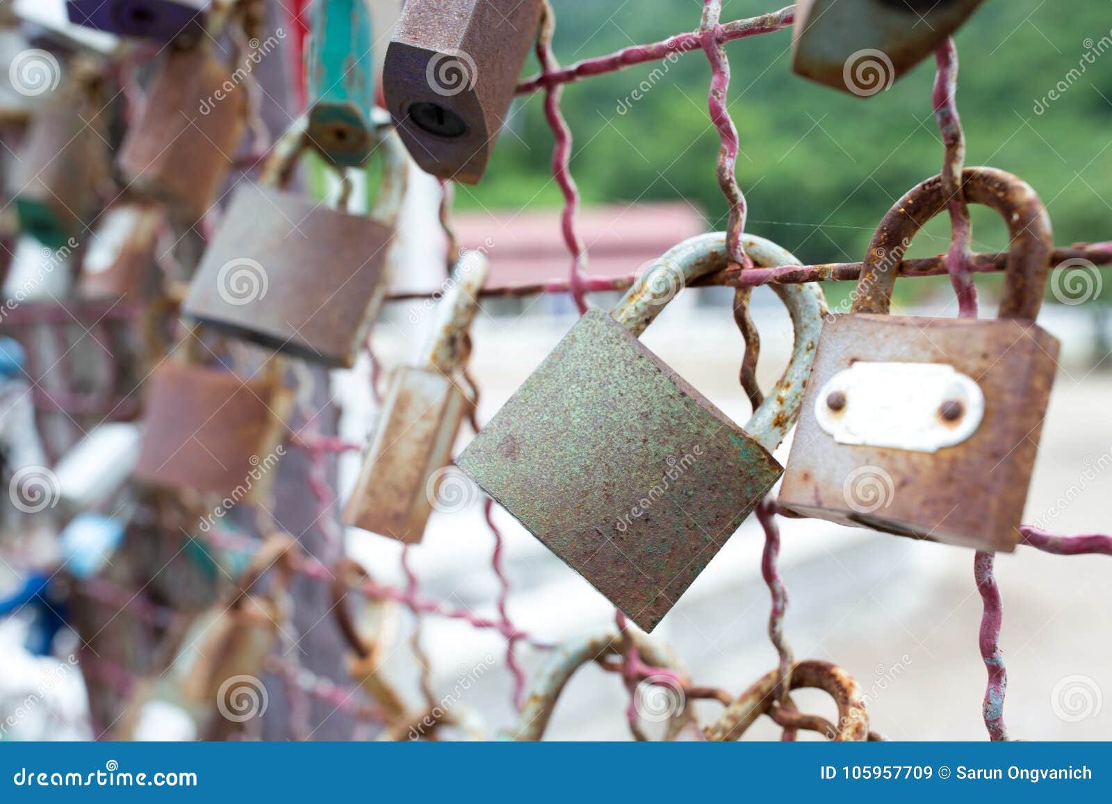 Rust locks couple stock image. Image of detail, lock - 105957709