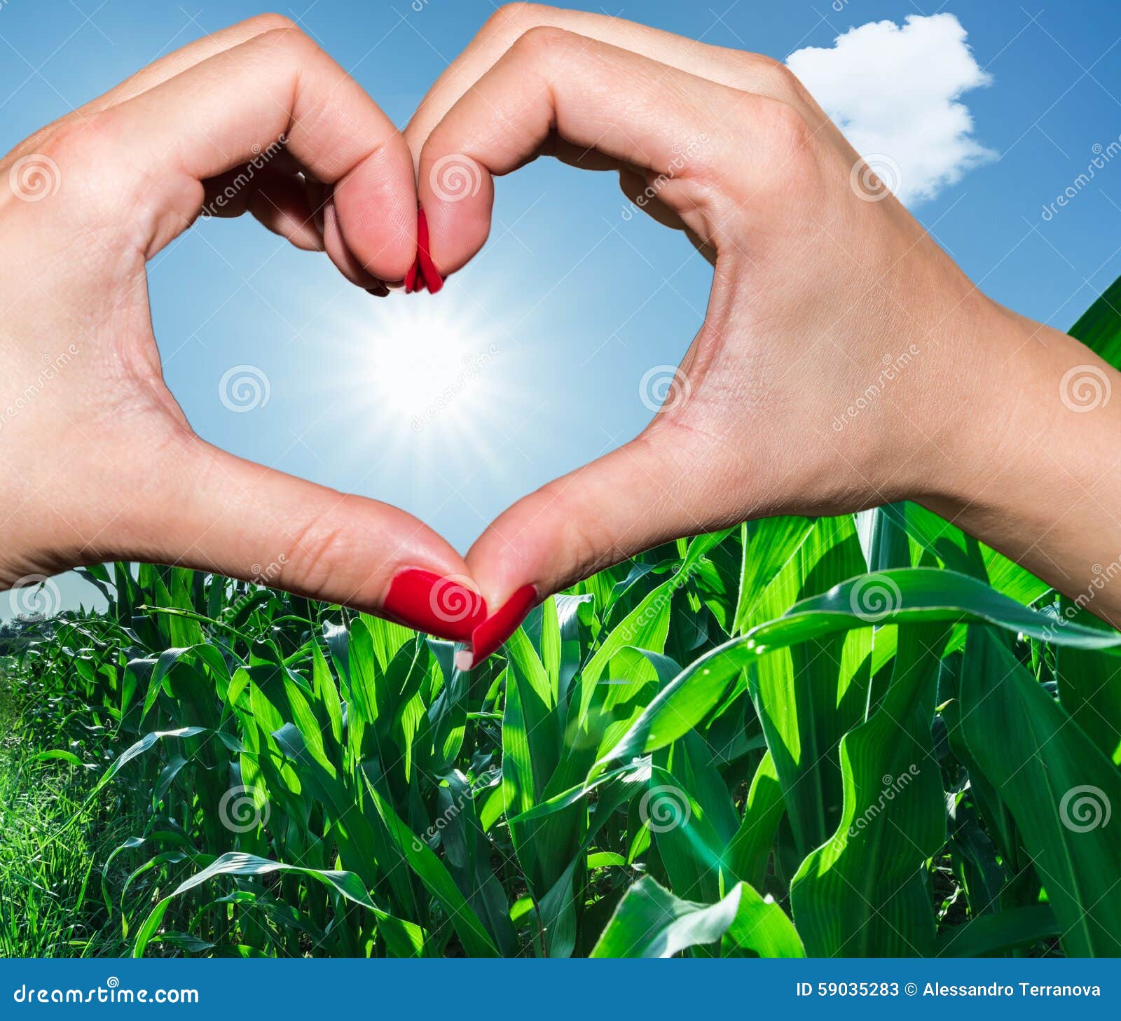 Love shape hand stock image. Image of beach, finger, body - 59035283