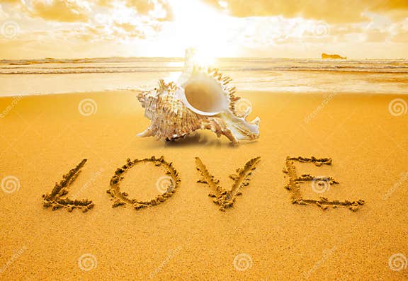 Love shell stock image. Image of writing, sandy, love - 144269267