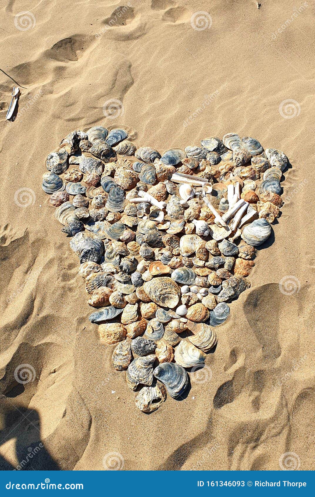 Love shells clee beach uk stock image. Image of love - 161346093