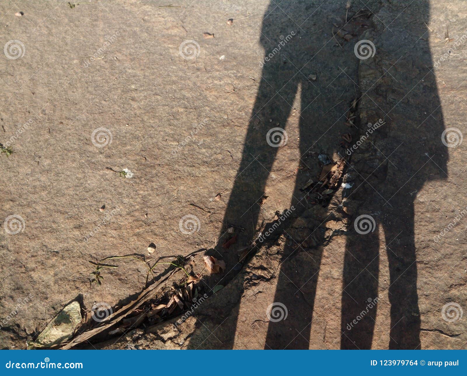 Ham tum stock photo. Image of story, love, shadow - 123979764