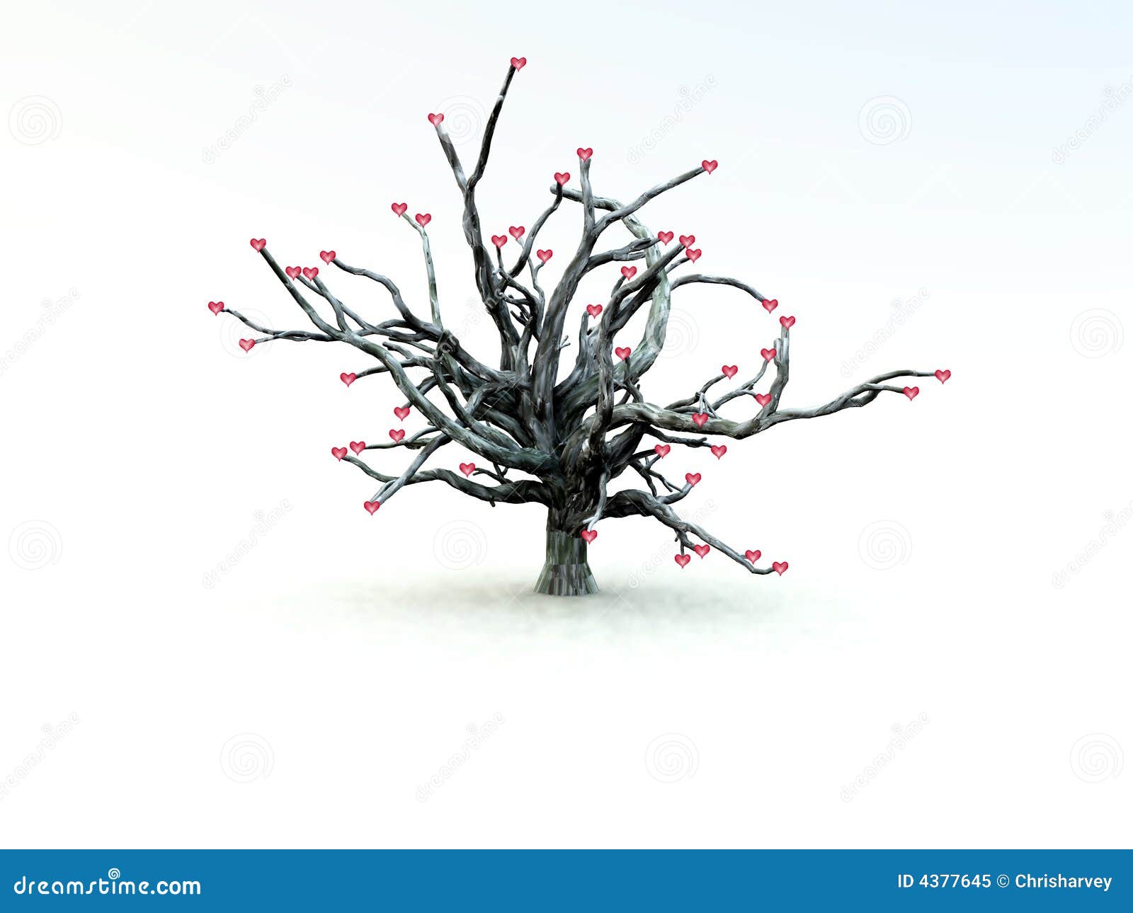 Love Tree Picture. Image: 4377645