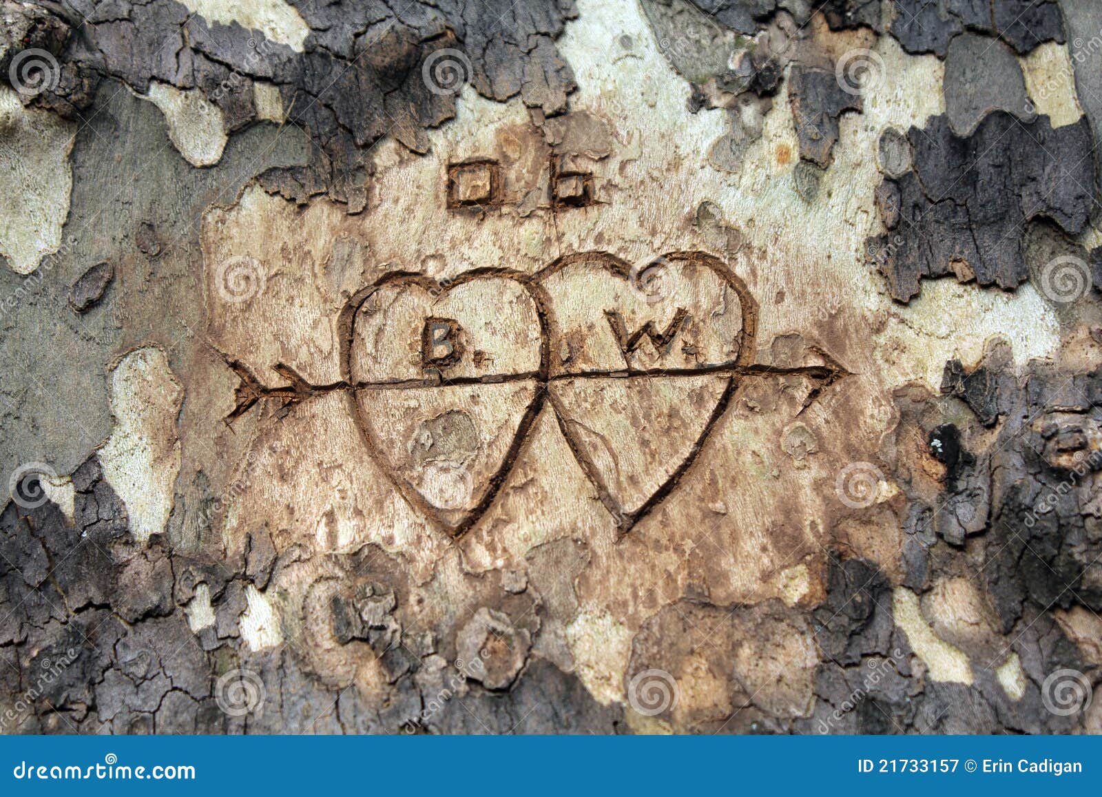 Love Tree Carving stock image. Image of affection, couple - 21733157