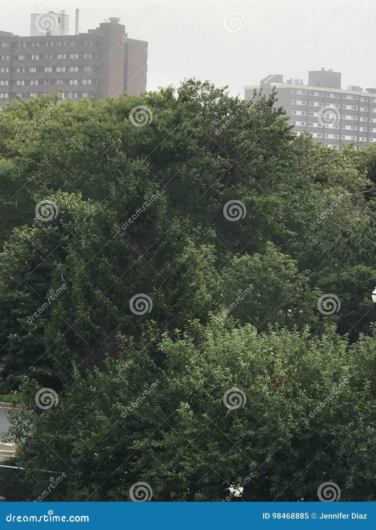 Love the view stock image. Image of love, beautiful, view - 98468885