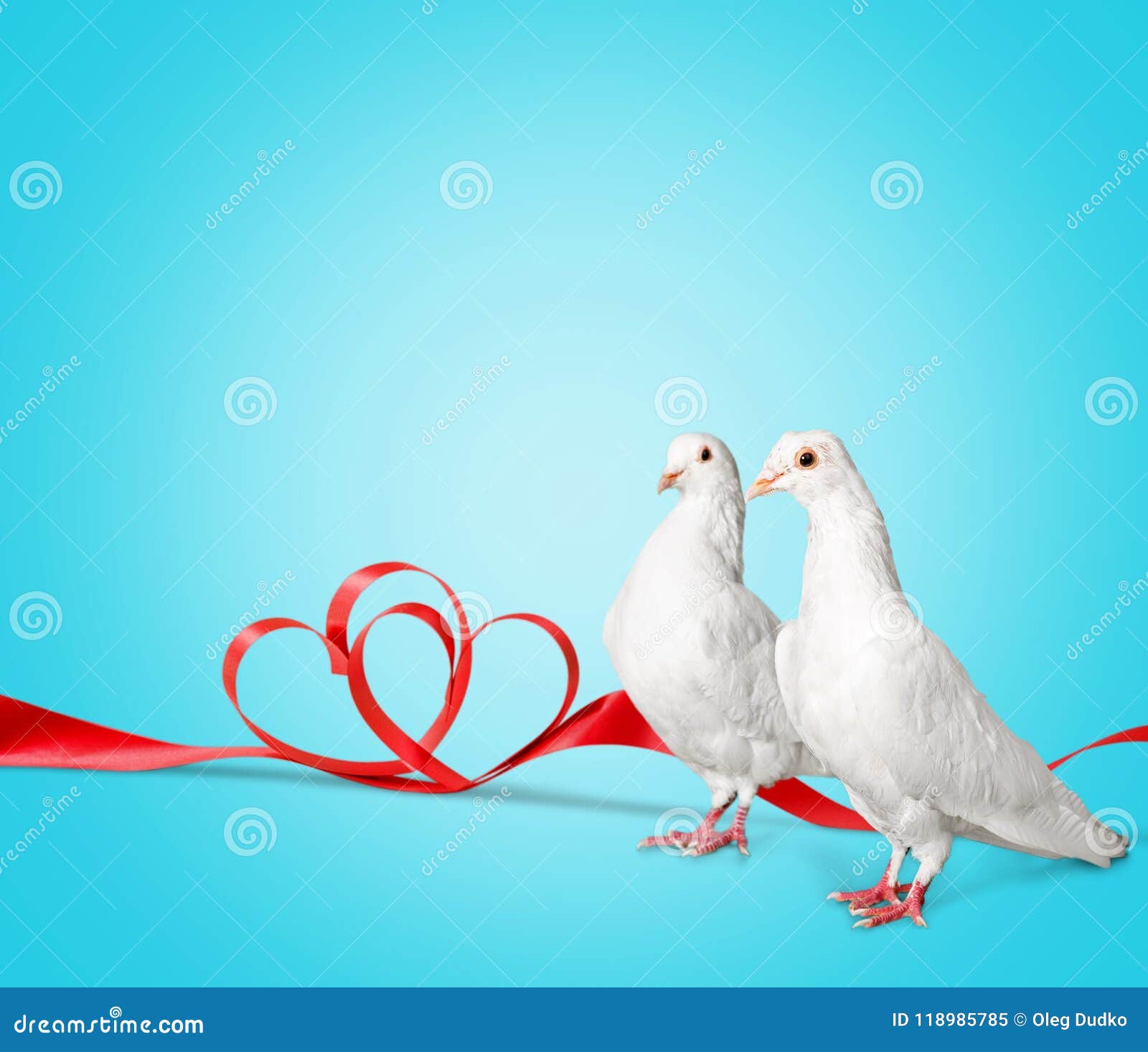 Love stock image. Image of soar, wing, love, freedom - 118985785