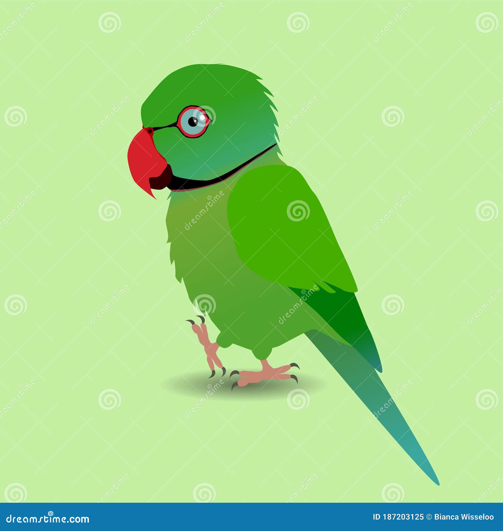 Ringneck Parakeet Parrot Vector Illustration. Cartoon Bird Isolated On ...