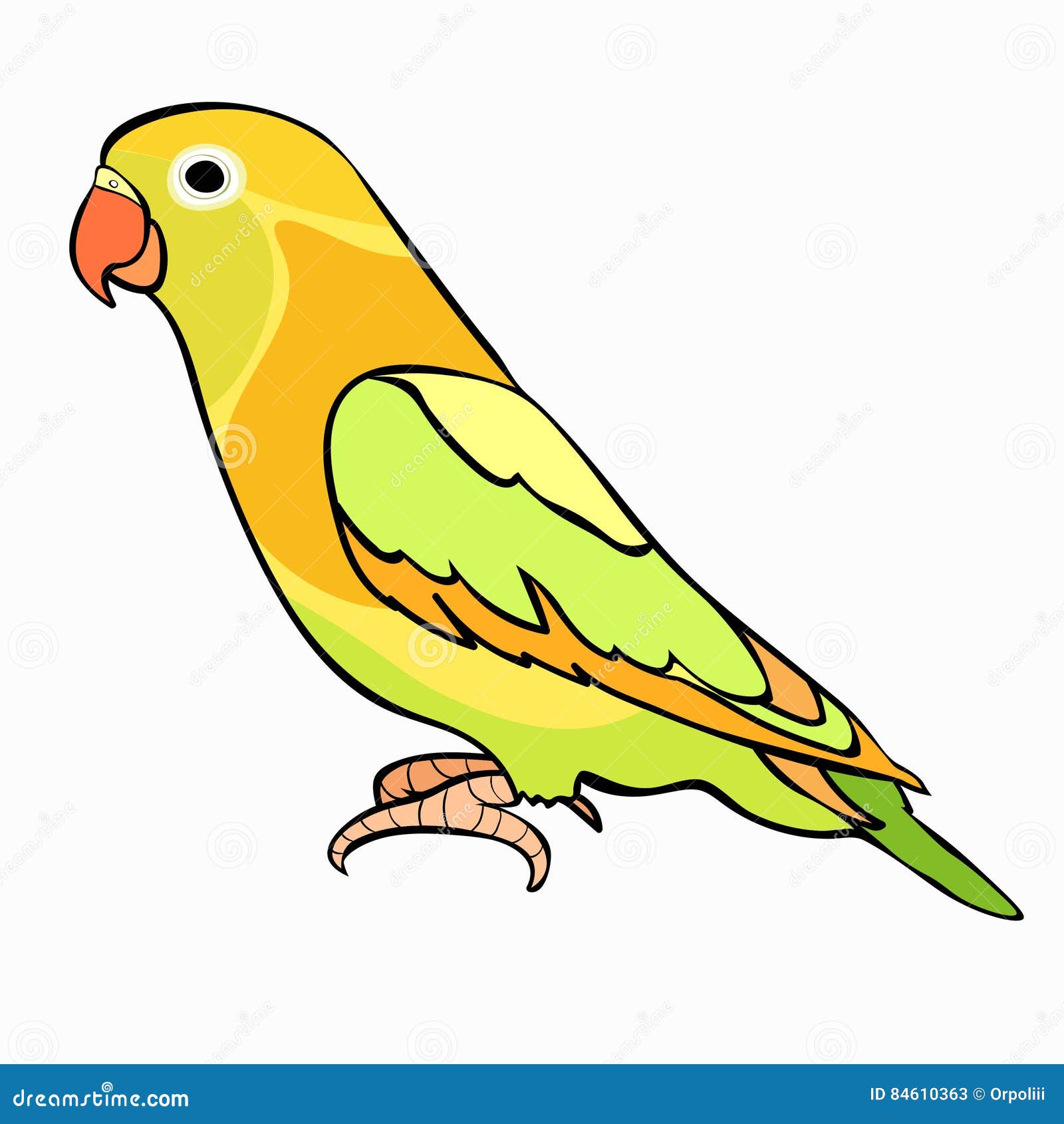Lovebirds Parrot With A Red Beak. Vector Illustration | CartoonDealer ...